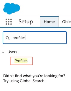 Enable API access in Salesforce – Ebsta Knowledge Base